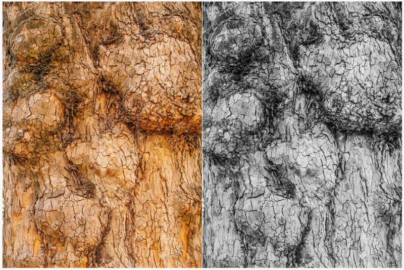 What Aging Material Stock Photos - Free & Royalty-Free Stock Photos ...