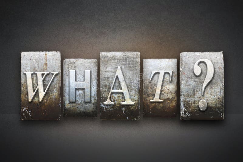 What s that? stock photo. Image of companion, ears, adopted - 2058994