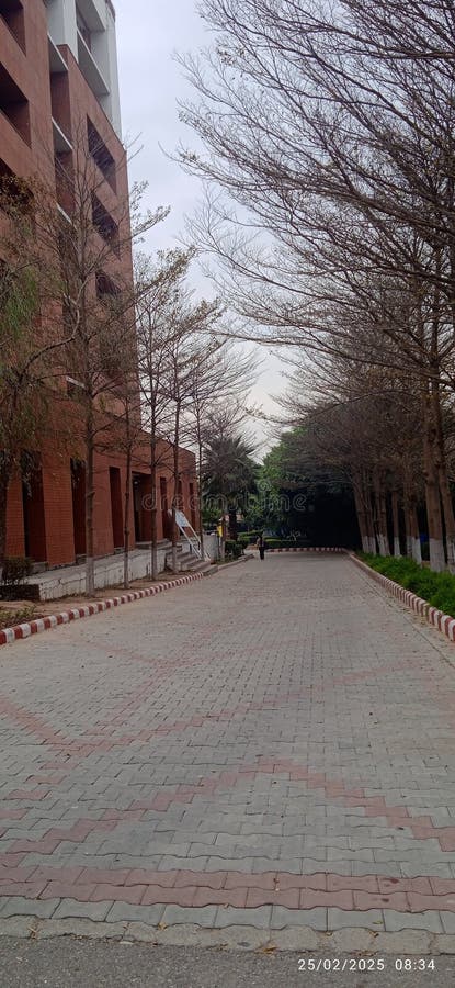 What a Lovely View in My College Yup Stock Photo - Image of lovely ...