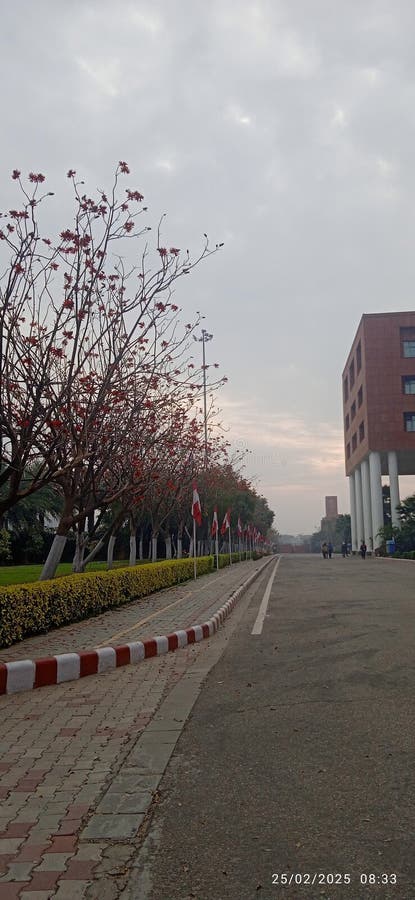 What a Lovely View in My College Yup Stock Photo - Image of college ...