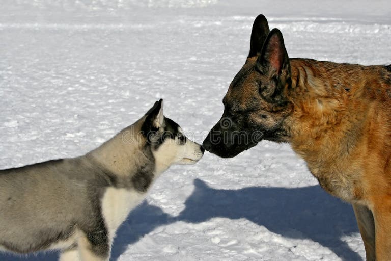 422 What Difference Measurements Stock Photos - Free & Royalty-Free ...