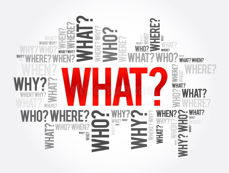 What? - Questions Whose Answers are Considered Basic in Information ...