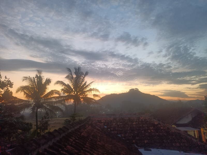 What a refreshing morning stock photo. Image of plant - 261788252