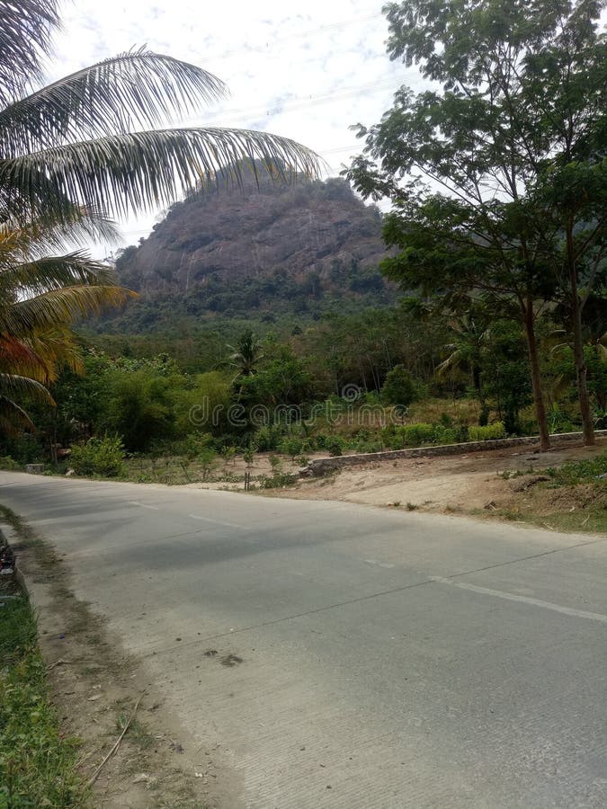 What we See Will Look Beautiful Compared To What we Step on Stock Image ...