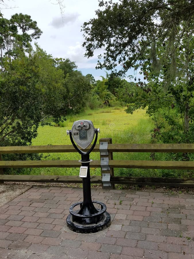 What a viewing stock photo. Image of overlook, pond - 164990194