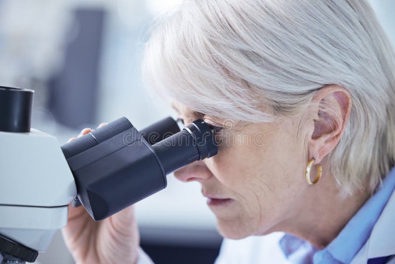 What Will she Find. a Mature Scientist Using a Microscope in Her Lab ...