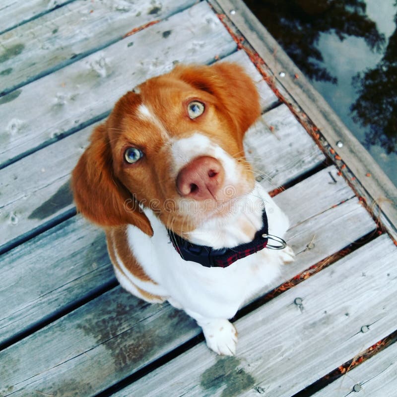 What are you doing? stock image. Image of outdoor, watching - 118099059