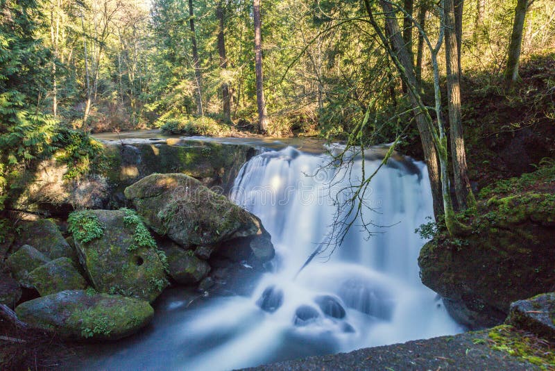 Whatcom Falls Park stock photo. Image of beautiful, falls - 94641356