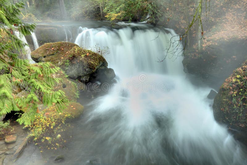 Whatcom Falls Morning, Bellingham, Washington Stock Image - Image of ...