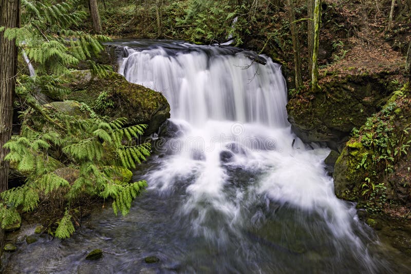 Whatcom Falls in Whatcom Falls Park Bellingham Washington USA Stock ...