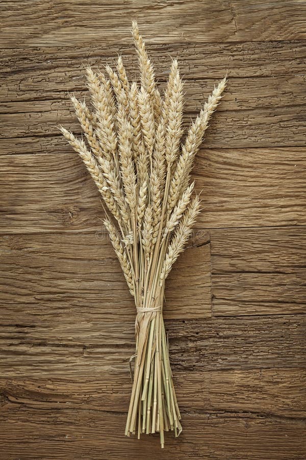 Bread and harvesting wheat stock photo. Image of farm - 25828862
