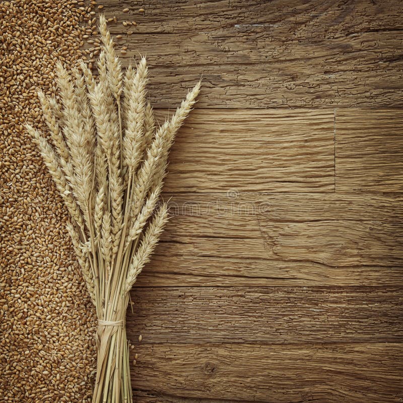 Bread and harvesting wheat stock photo. Image of farm - 25828862