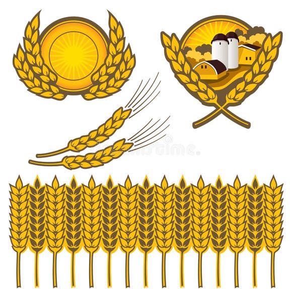 Grind Wheat Stock Illustrations – 347 Grind Wheat Stock Illustrations ...