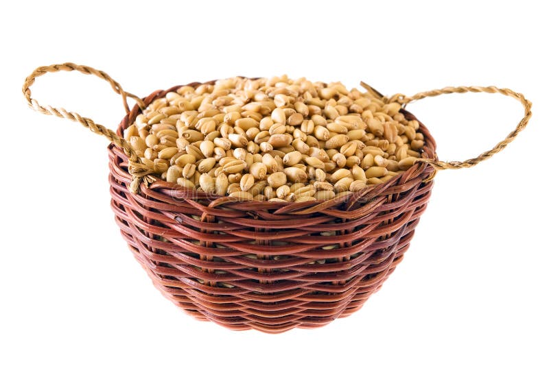 Wheat stock image. Image of healthy, nature, isolated - 7255915