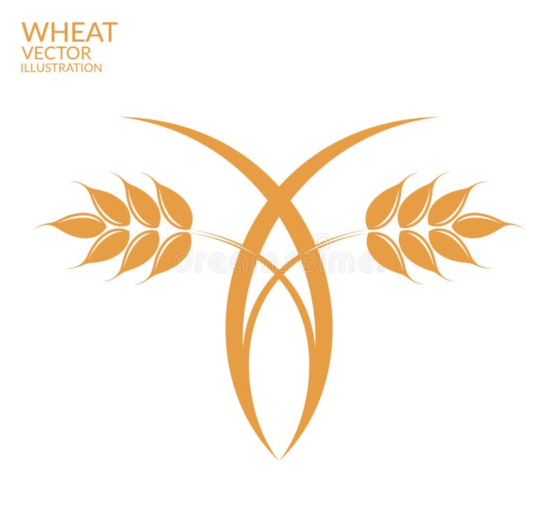 Wheat stock vector. Illustration of abstract, food, silhouette - 79349699