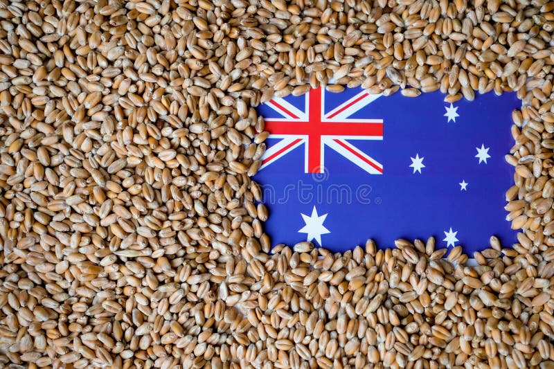 Wheat Background. Flag of Australia. Major Export Commodity Stock Photo ...