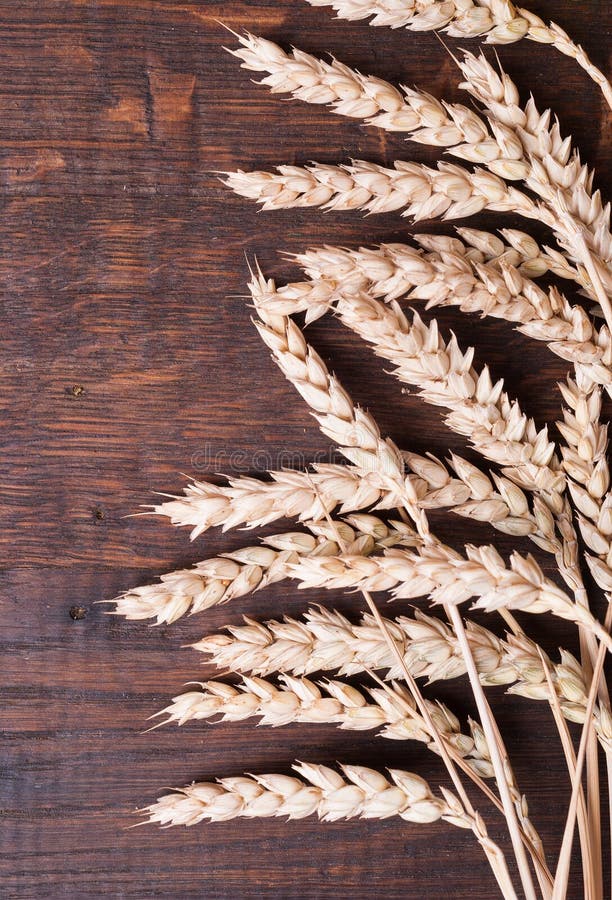 Wheat background stock image. Image of food, background - 41688829