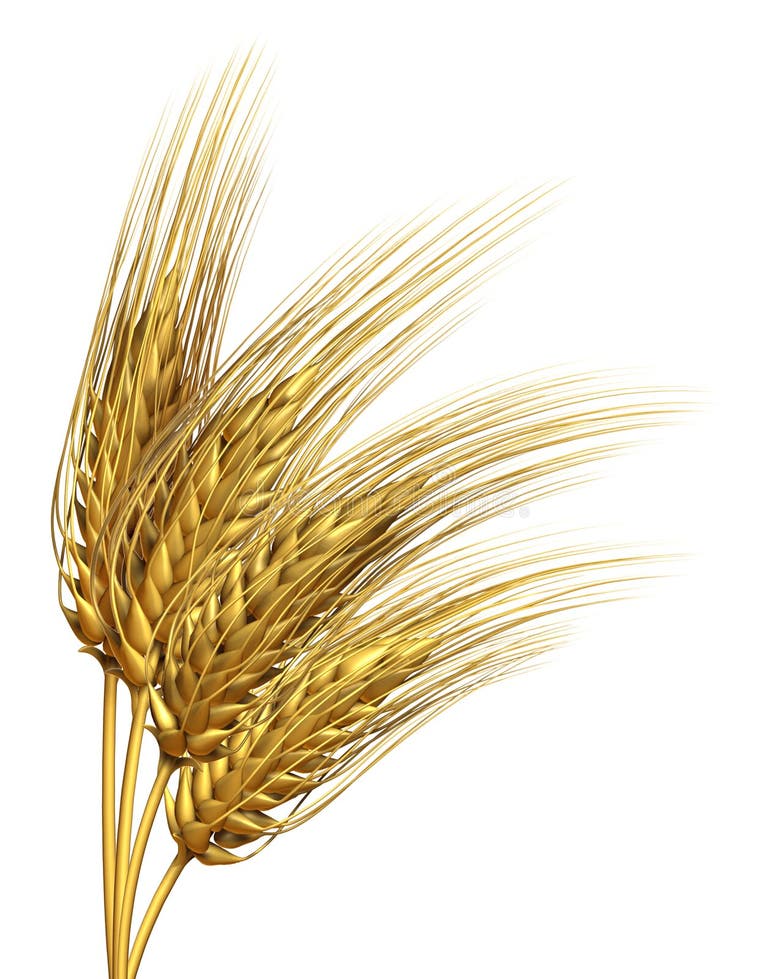 Barley Farm Stock Illustrations – 29,422 Barley Farm Stock ...