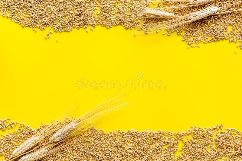 Wheat or Barley Frame with Ears on Yellow Background Top View Copy ...