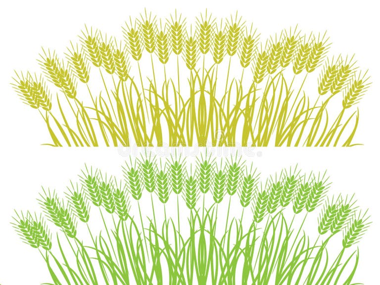 Seed Borders Stock Illustrations – 225 Seed Borders Stock Illustrations ...