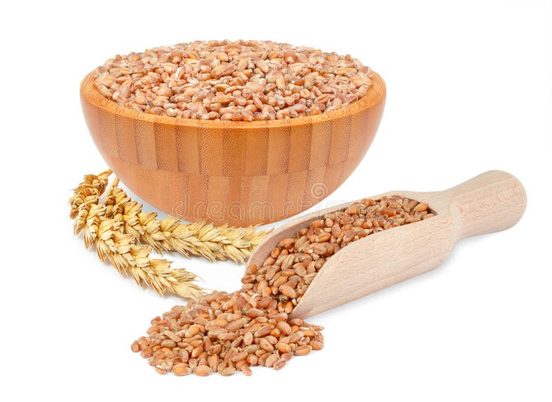 Wheat stock image. Image of crop, wheat, flour, spike - 48952437