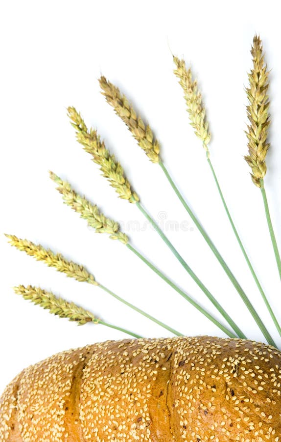 Wheat and bread stock photo. Image of healthy, vitamin - 14357392