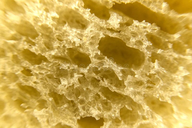 Wheat Bread Under a Microscope. Stock Image - Image of stove, closeup ...