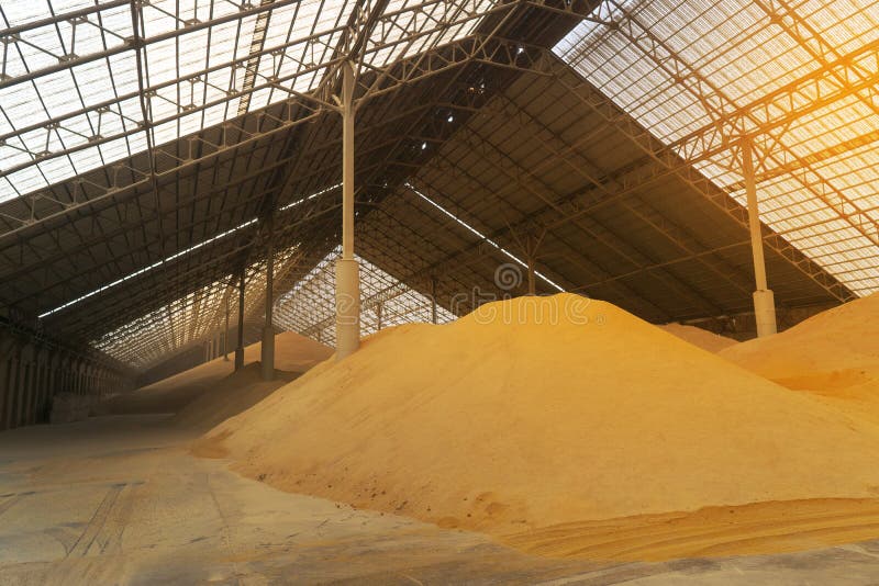 Wheat at Bulk Cargo Warehouse Storage Stock Photo - Image of industry ...