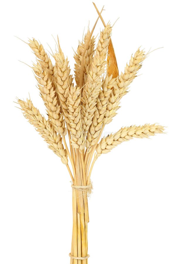 Wheat Bundle