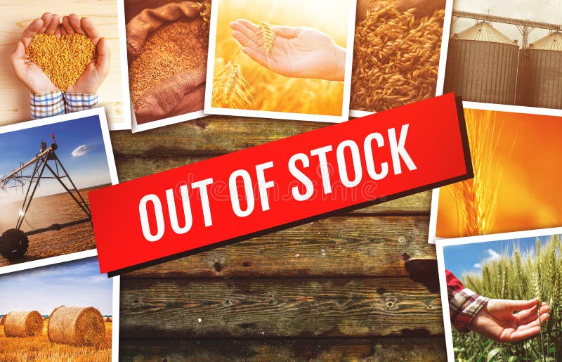 Wheat Commodity Out of Stock Concept Stock Image - Image of plant ...