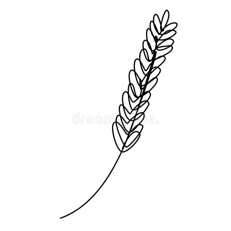 Wheat in Continuous Line Art Style with Editable Stroke. Outline ...