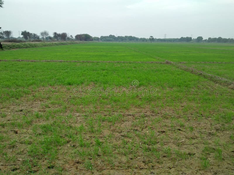 Matiari District Stock Photos - Free & Royalty-Free Stock Photos from ...