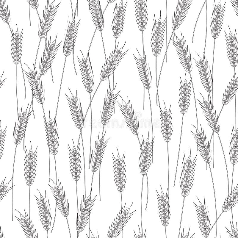 Seamless Wheat Crops Design Stock Vector - Illustration of wheat ...