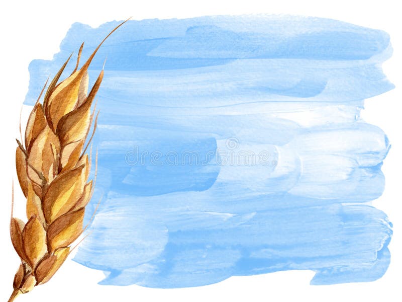 Wheat Ear on Blue Watercolor Stain Background Stock Illustration ...