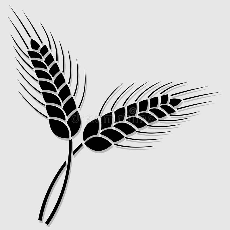 Wheat Ear Icon Isolated on White Background. Stock Vector ...