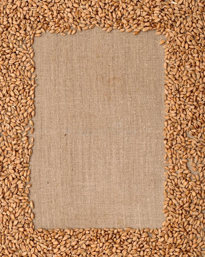 Wheat ears stock photo. Image of food, border, fall, copy - 24973820