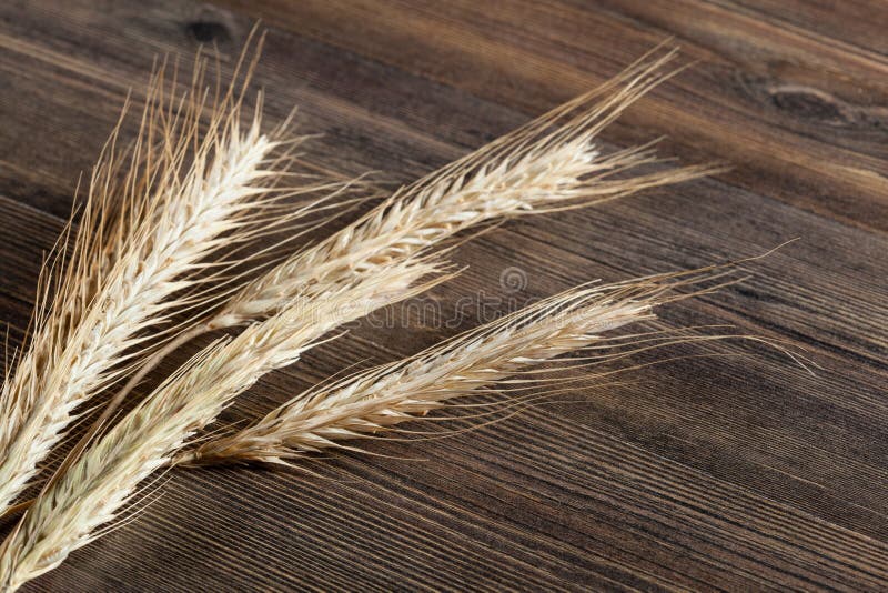 Wheat ears stock image. Image of healthy, crop, color - 27922377
