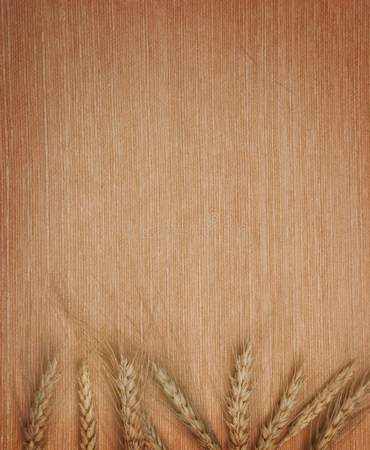 Wheat ear stock photo. Image of growing, harvest, summer - 967246