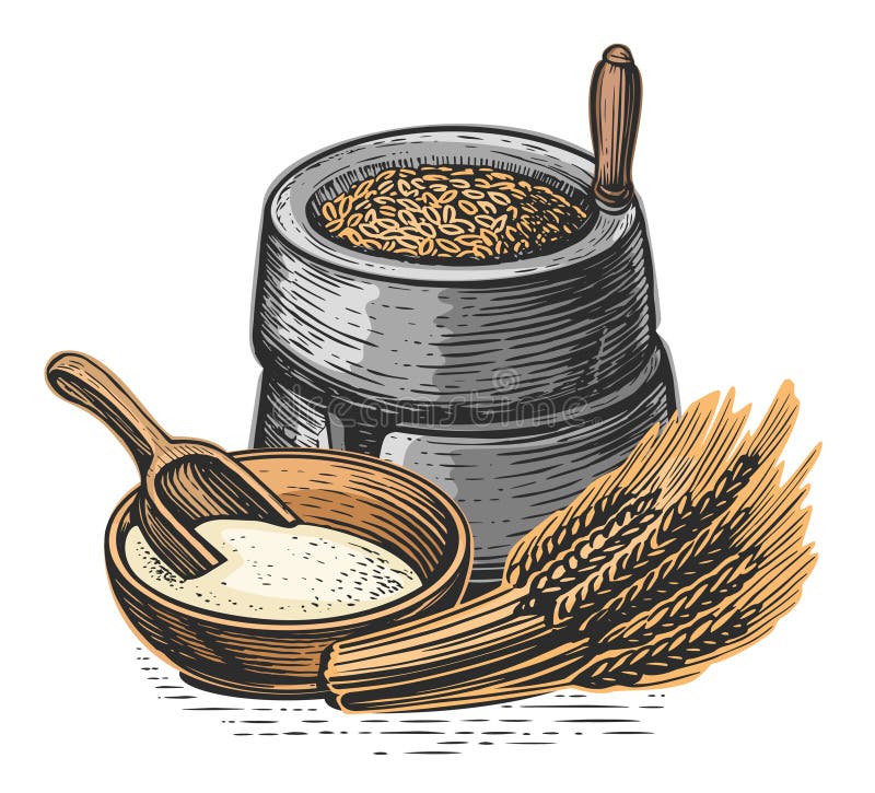 Wheat Ears, Flour, Millstones. Vector Illustration. Processing Cereal ...