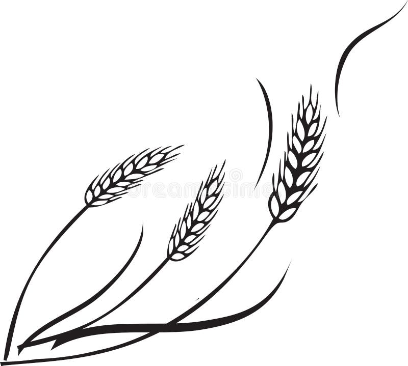 Wheat Border Clipart
