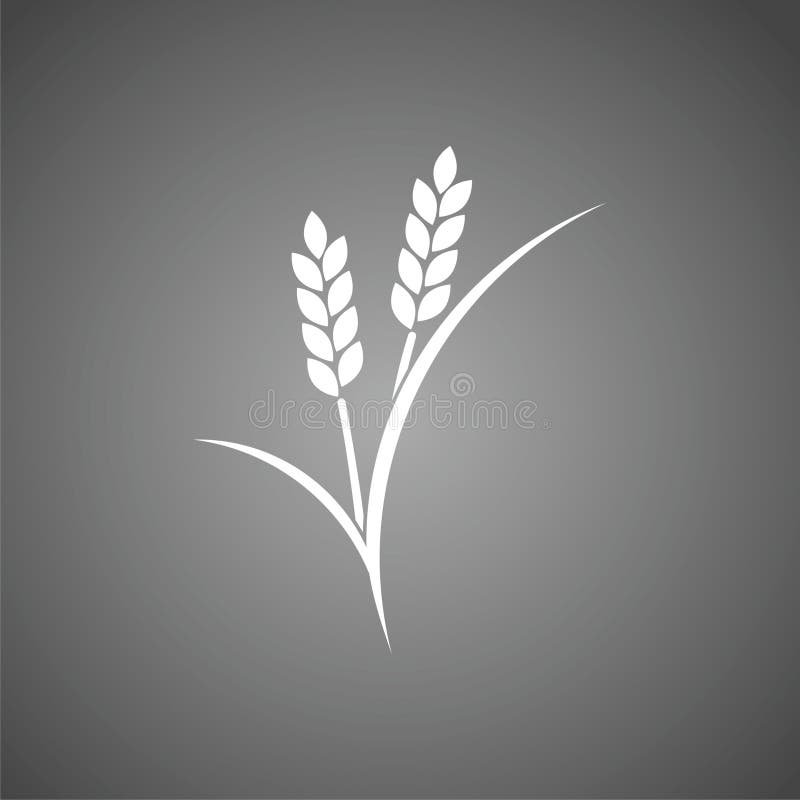 Wheat ears or rice icon stock vector. Illustration of crop - 121973330