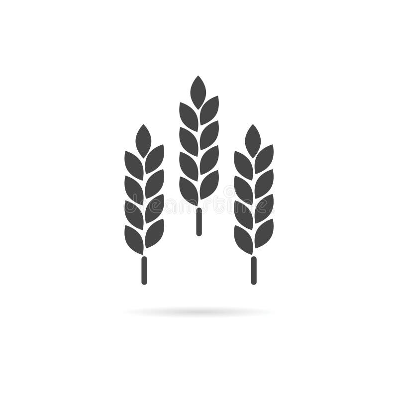 Wheat ears or rice icon stock vector. Illustration of agriculture ...