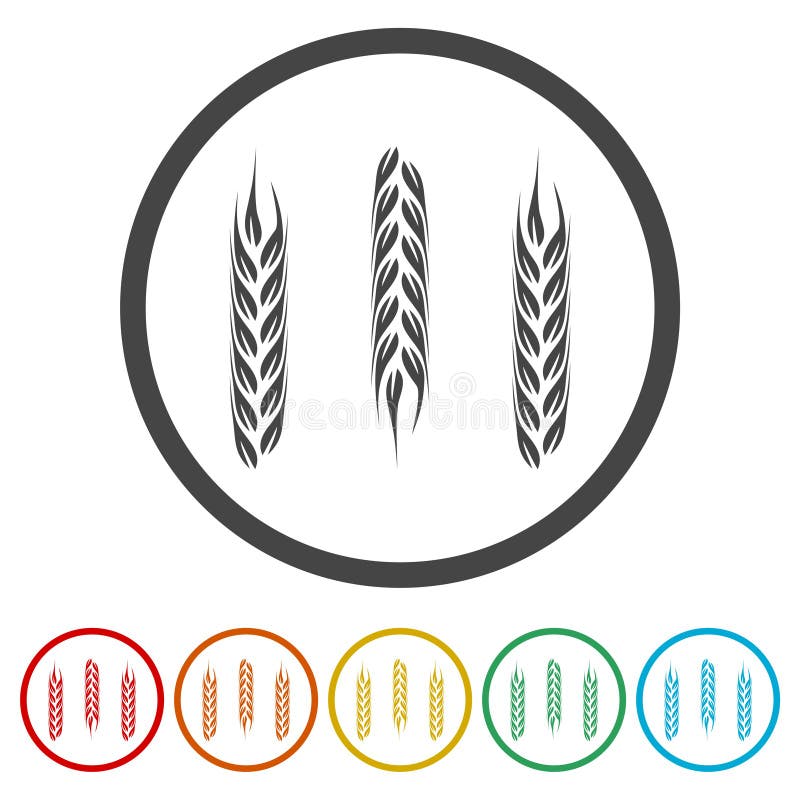 Ring Wheat Stock Illustrations – 1,139 Ring Wheat Stock Illustrations ...