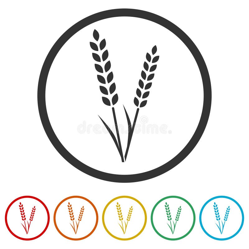 Ring Wheat Stock Illustrations – 1,114 Ring Wheat Stock Illustrations ...