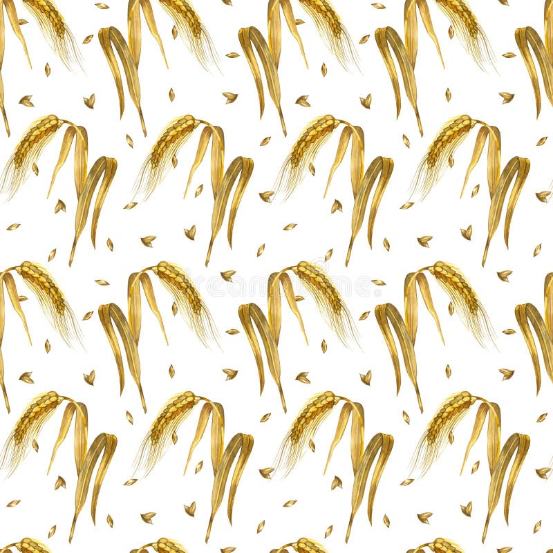 Wheat Ears, Seamless Watercolor Pattern of Wheat Ears, All Objects are ...