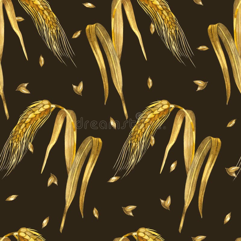 Wheat Ears, Seamless Watercolor Pattern of Wheat Ears, All Objects are ...