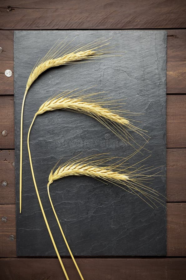 Wheat ears on slate stock photo. Image of brown, copy - 42641060