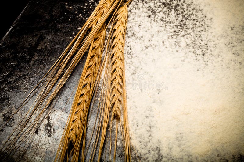 Wheat Ears, Baking Forms, Sieve And Sprinkle Flour On Black Back Stock ...