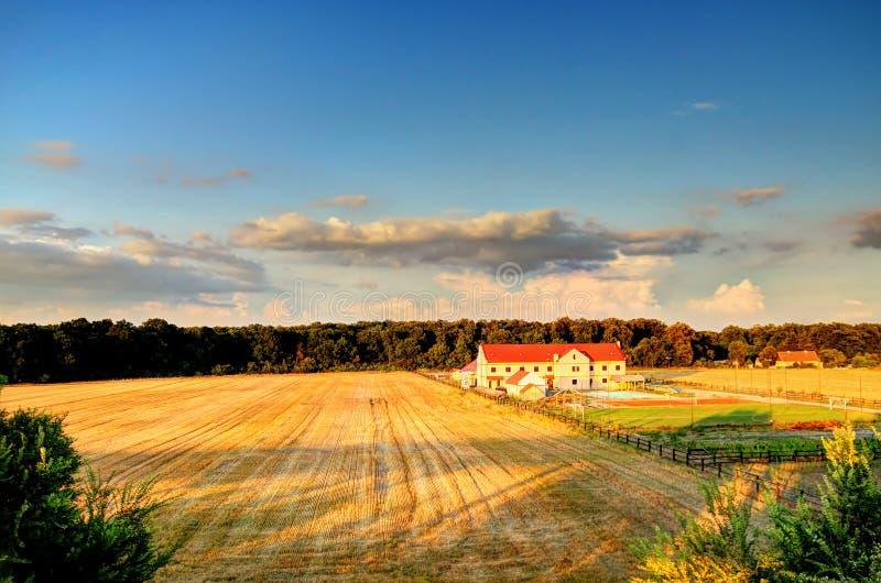 Wheat farm stock photo. Image of orange, bale, blue, growing - 32751446