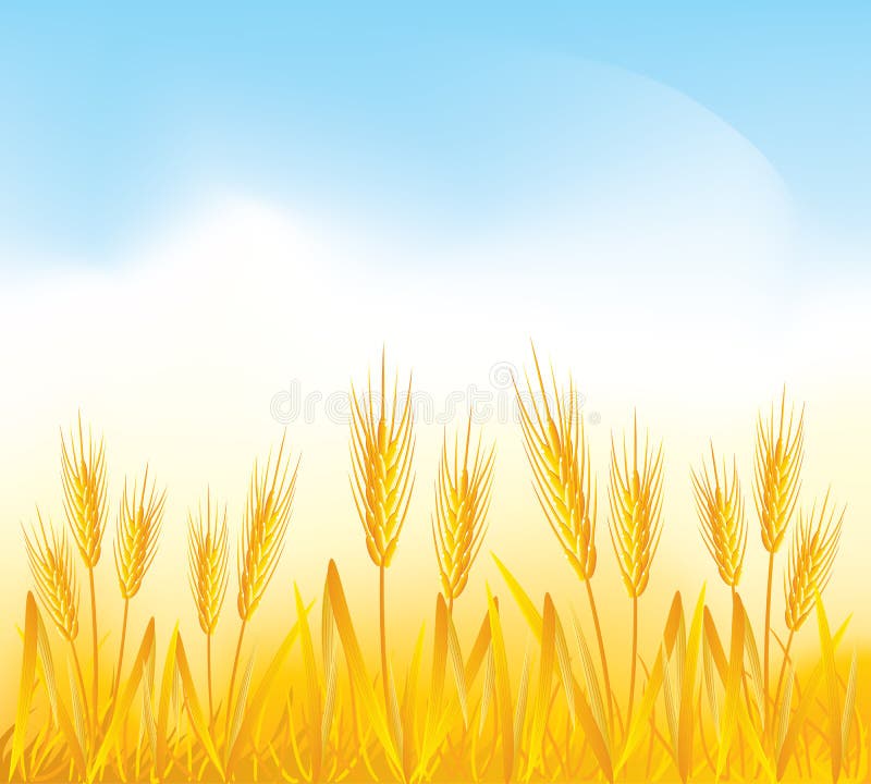Wheat Field Clipart Grain Field Royalty Free SVG, Cliparts, Vectors,